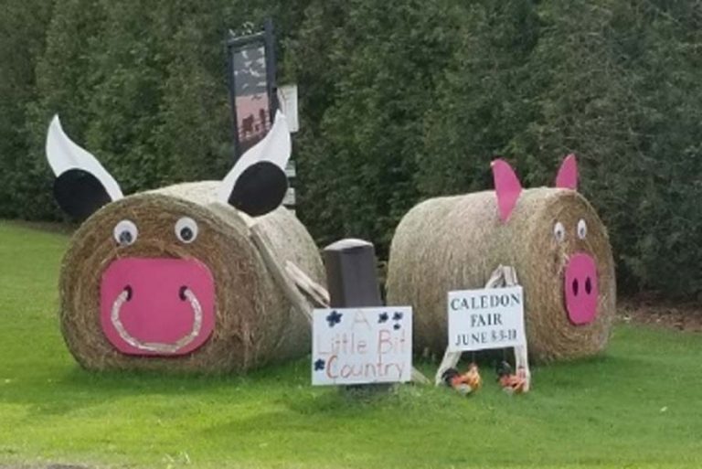 Competitions | Caledon Fair